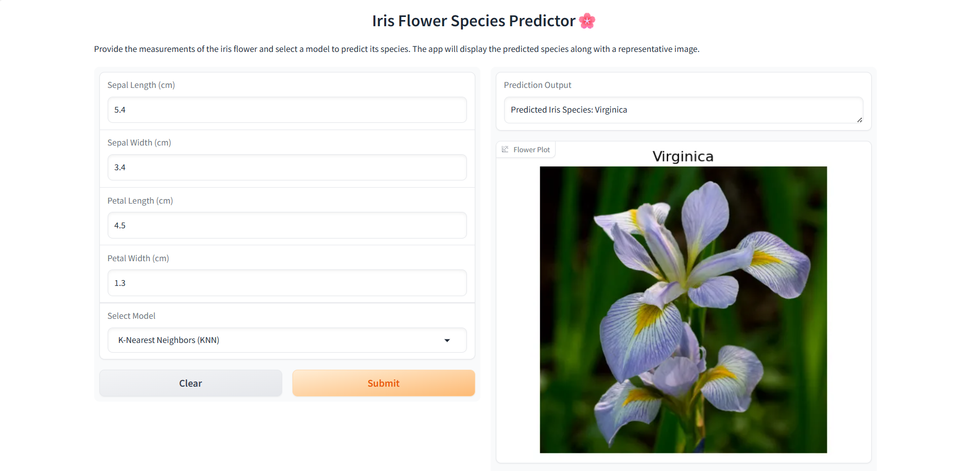 Get Your Project Done